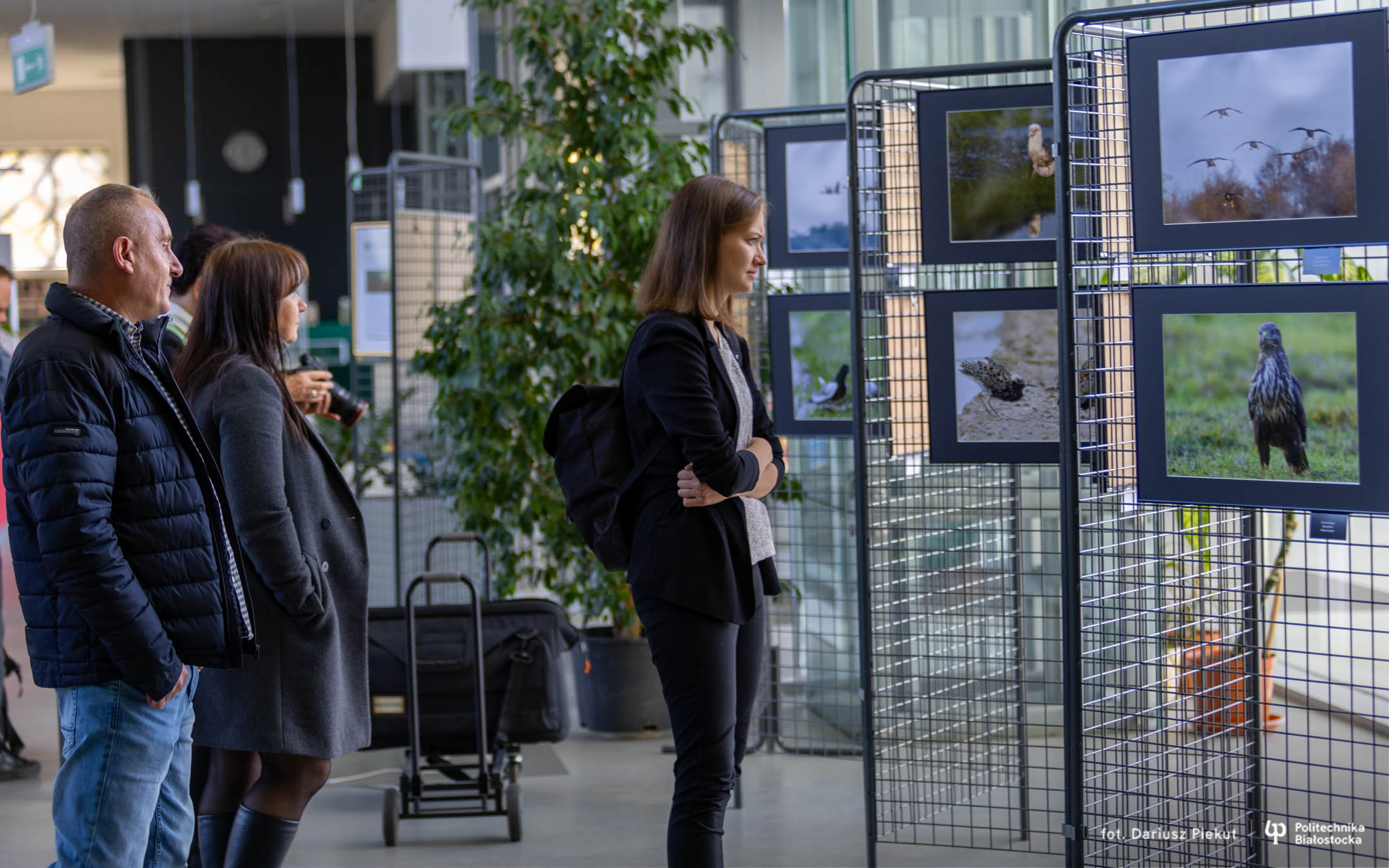 Wiadomości - 30-lecie Biebrzańskiego Parku Narodowego. Wystawa ...